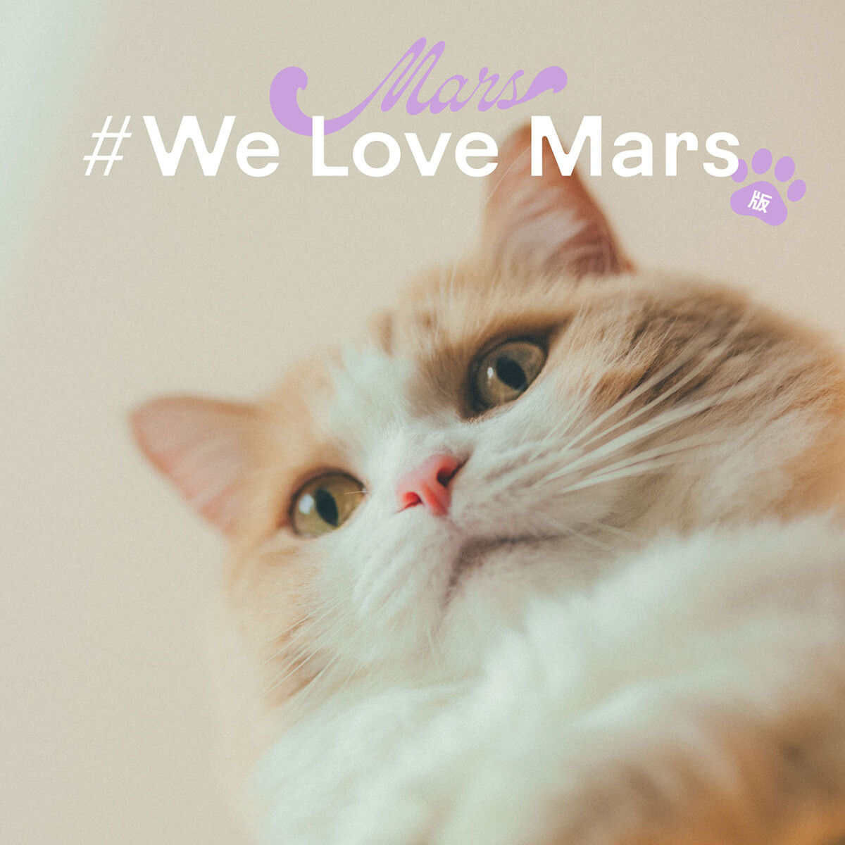 藤原樹（THE RAMPAGE）/マース『Mars #We Love Mars版』 - 幻冬舎plus